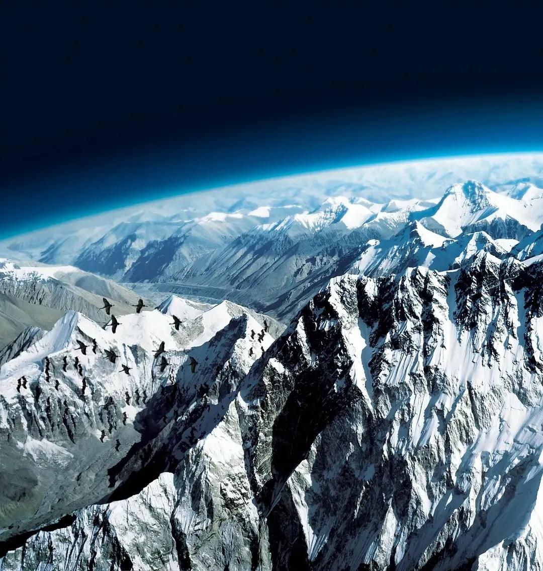 The ultimate aesthetics of the earth, this "epic" documentary takes you ...