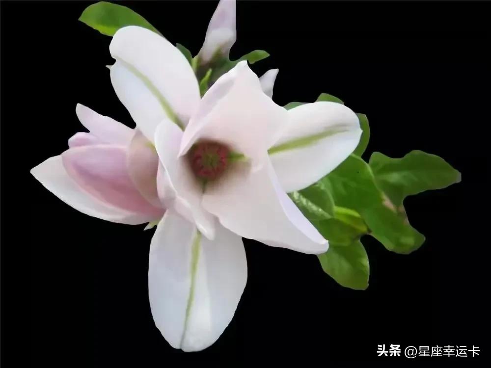 Mysterious and unpredictable, never count on the three zodiac signs ...