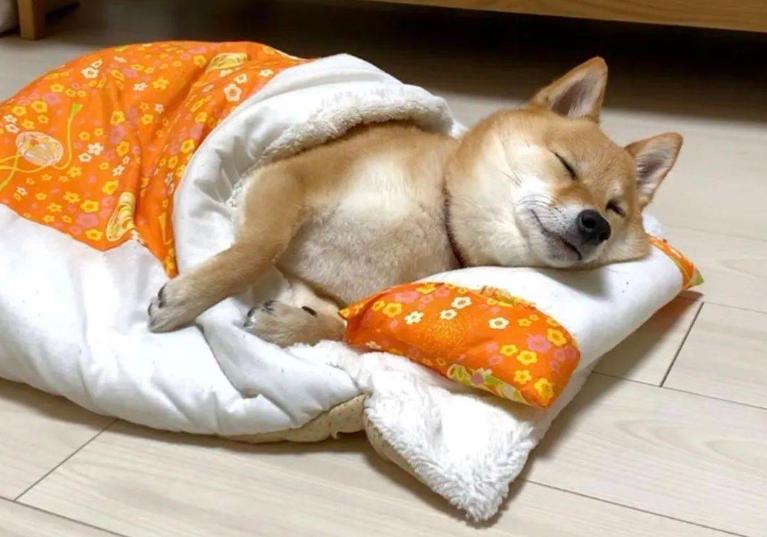 How to solve autumn fatigue? These are the ways to save you! - iMedia