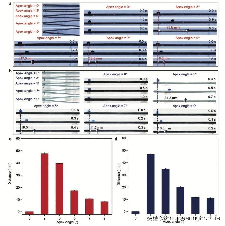 Multiple bionic structures! Super-wetting V-shaped track realizes ...