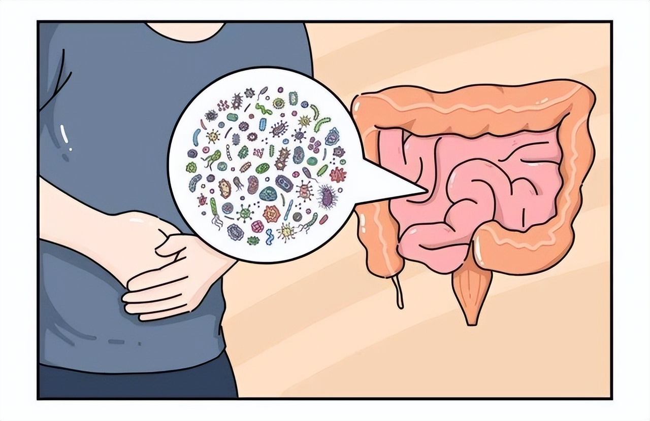 Is it related to the liver to fart too much?Note: Too many farts may be ...