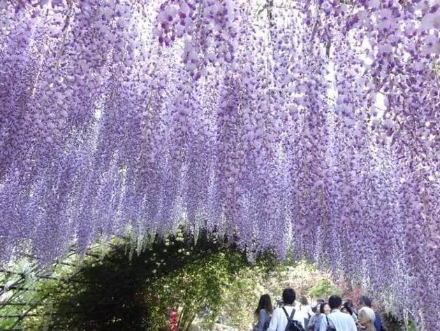 Eternal love: deep thinking under the moon, the same life - iMedia