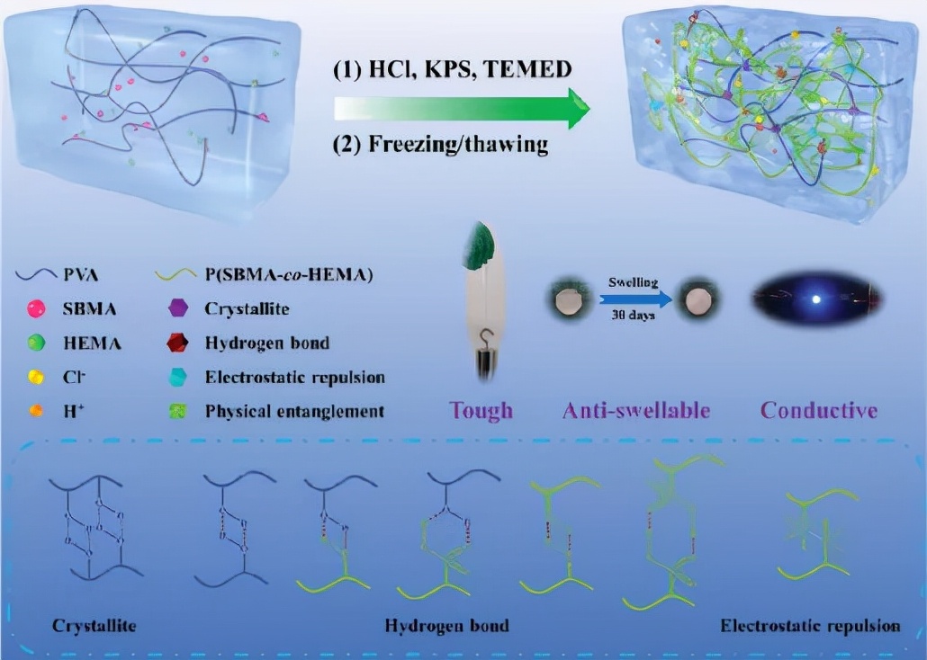 "AFM" Lv Shaoyu of Lanzhou University: Anti-swelling hydrogel strain ...
