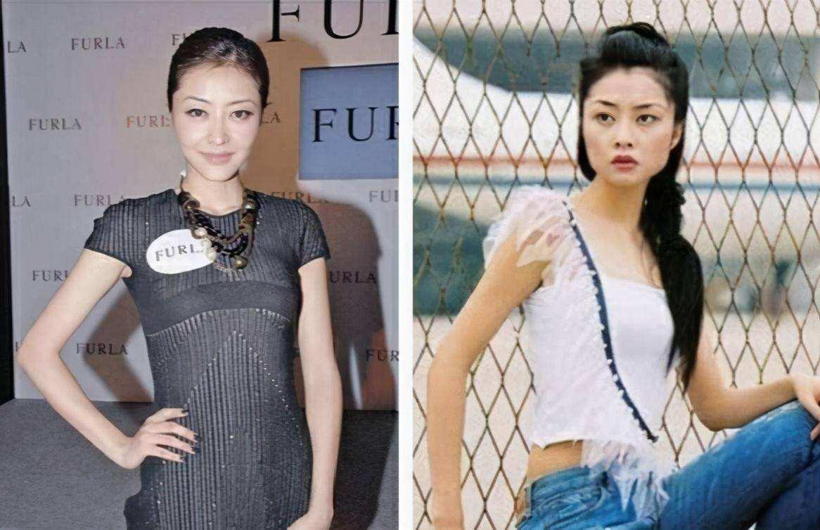 Several female stars who have "successful plastic surgery" seem to have ...