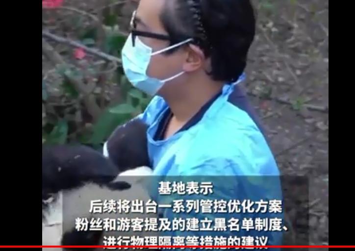 The base responded that the giant panda Fu Wan was splashed with water ...