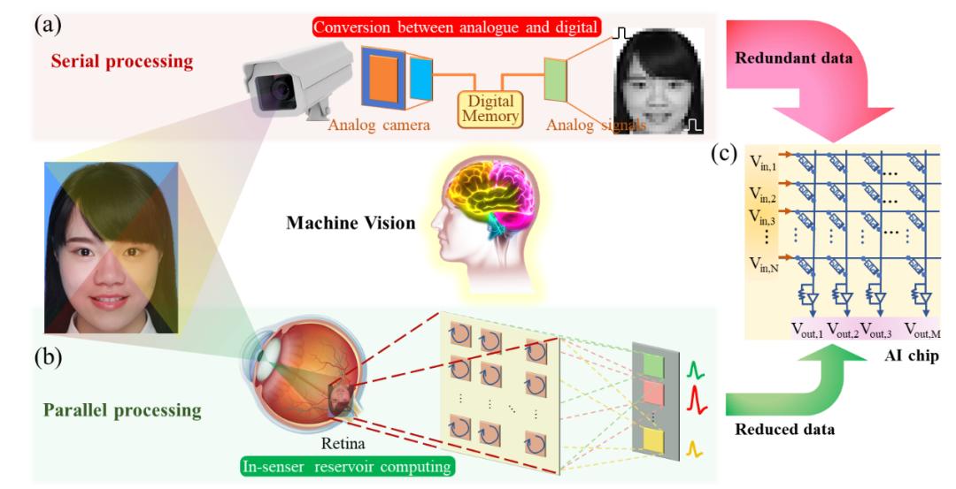 Advanced Science: Machine Vision for Self-Powered Sensing Internal ...