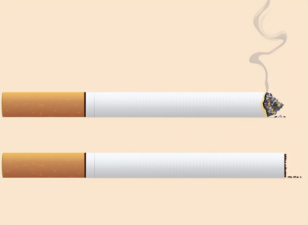 From Grass Blades to Cultural Symbols: Exploring the Evolution of ...