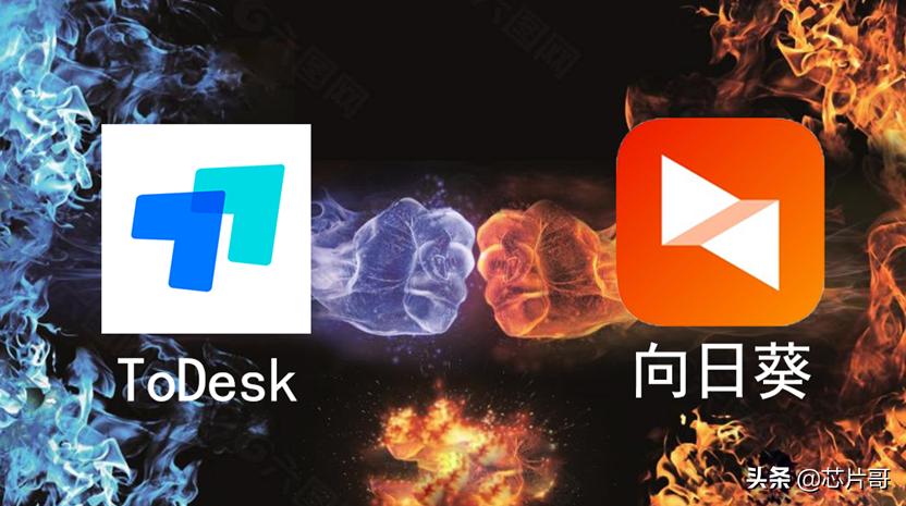 Remote control of Todesk has mixed reviews?Who is better with sunflower ...