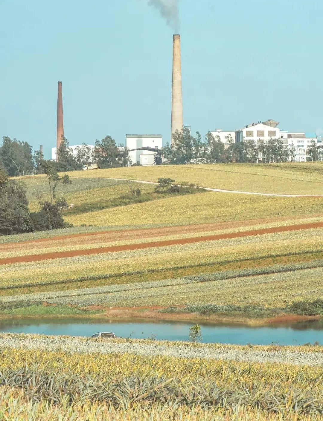 "National Geographic" is boasting about the sea without water, have you ...