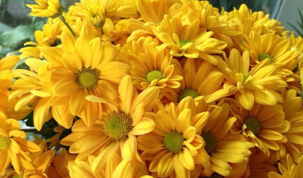 The longest-lived dynasty in the world: it lasted for 2,680 years and ...