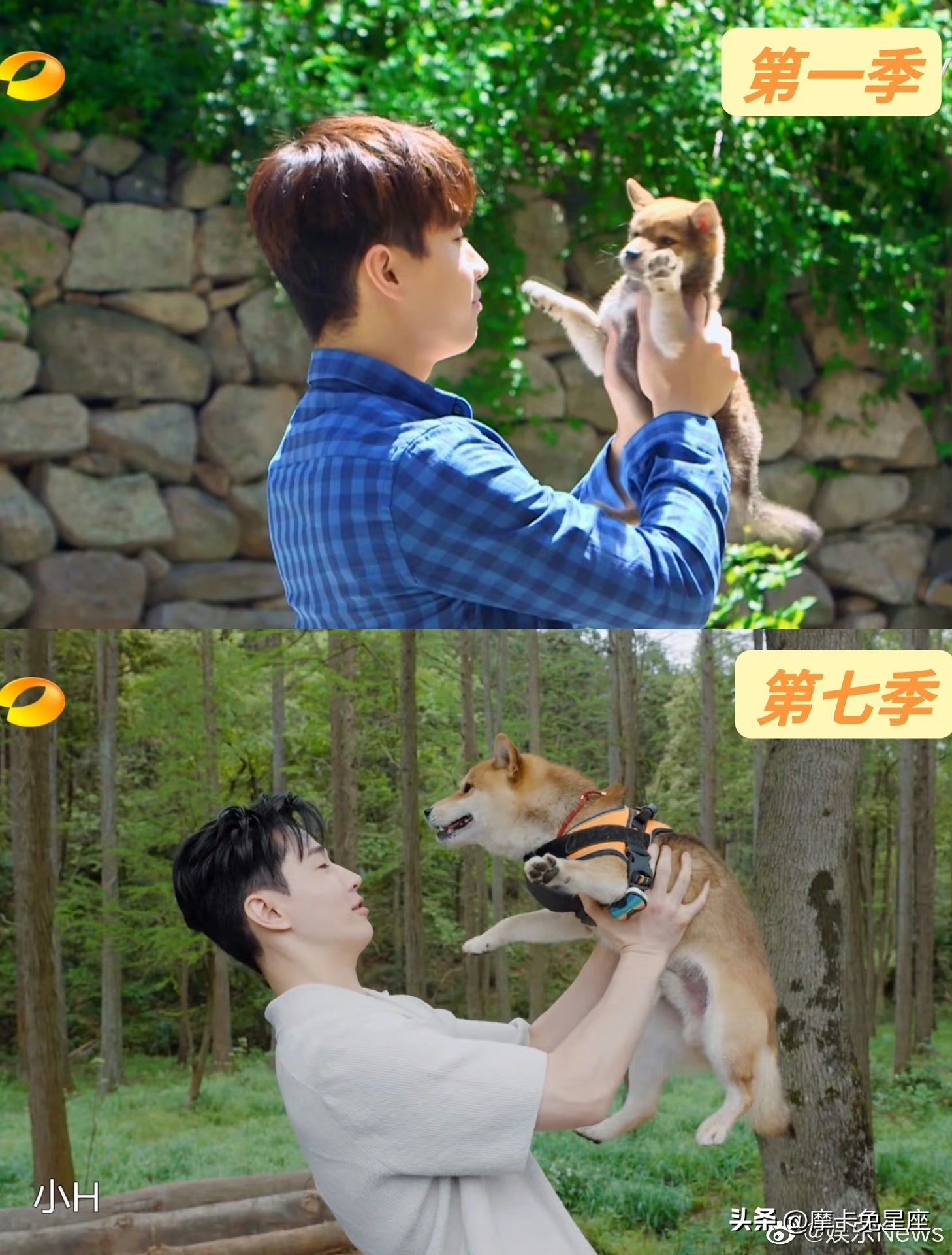 In the last season of the longing life, Song Dandan regrets, Chen He sheds tears, every scene is ...