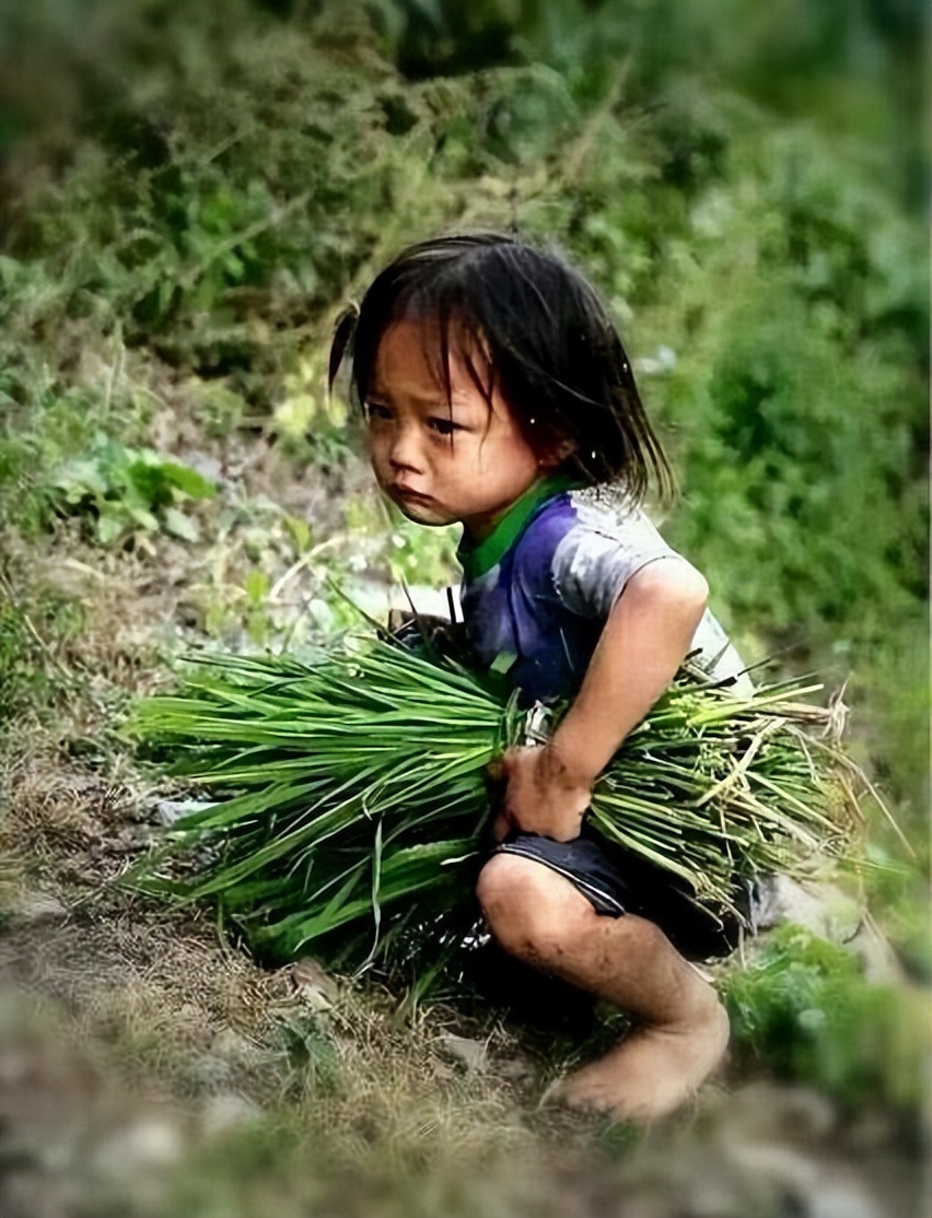 What is it that makes children from poor families feel so powerless ...