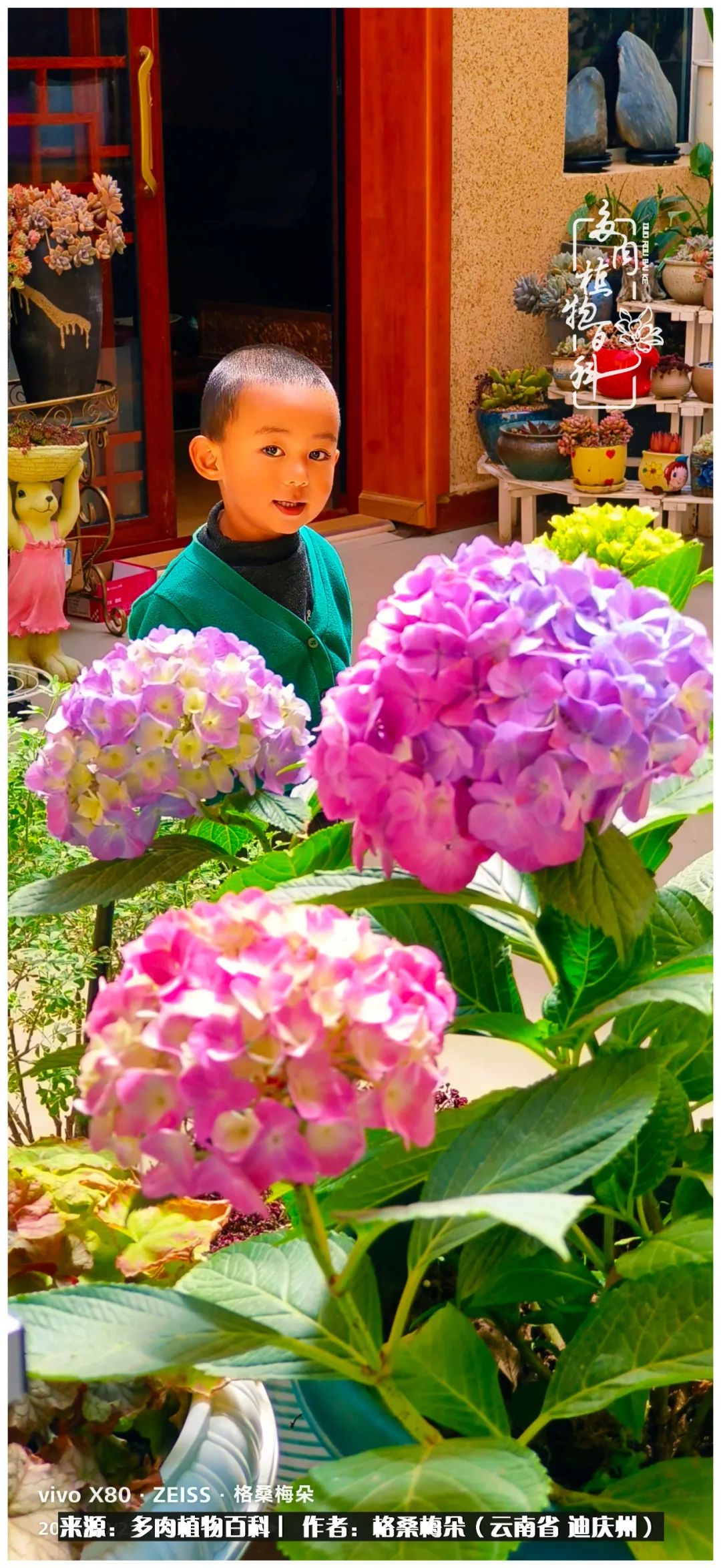 People who like flowers must be gentle, and people who are gentle must ...