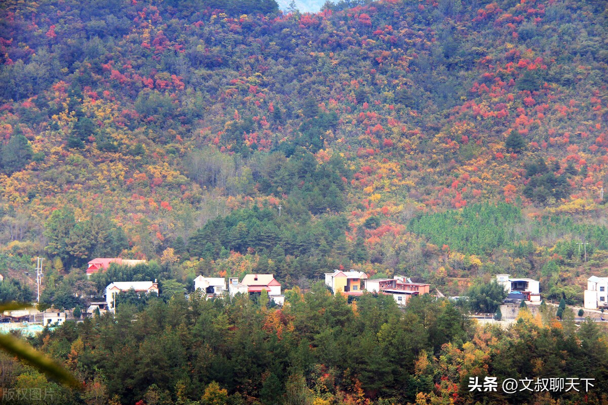 Nanyang, an ancient city that makes you linger - iNEWS