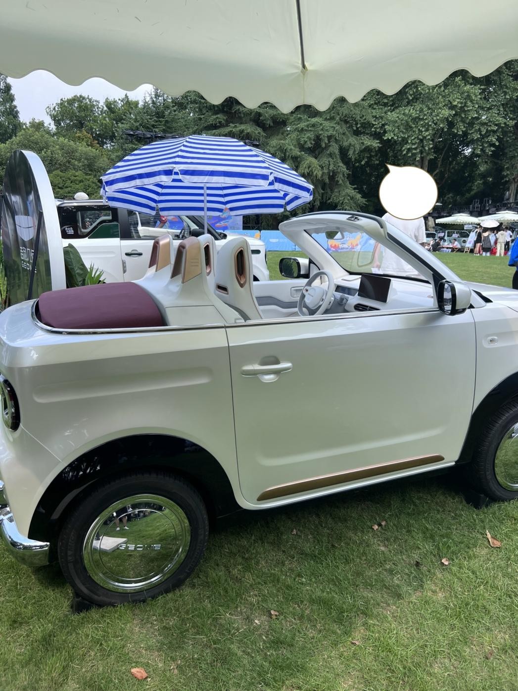 Netizens are hotly discussing the new car Panda mini Platinum party ...