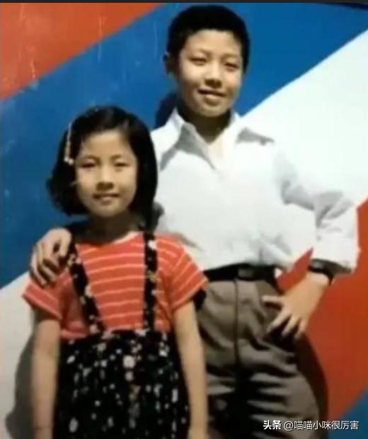 The host of the 2023 Spring Festival Gala announced that Ren Luyu ...