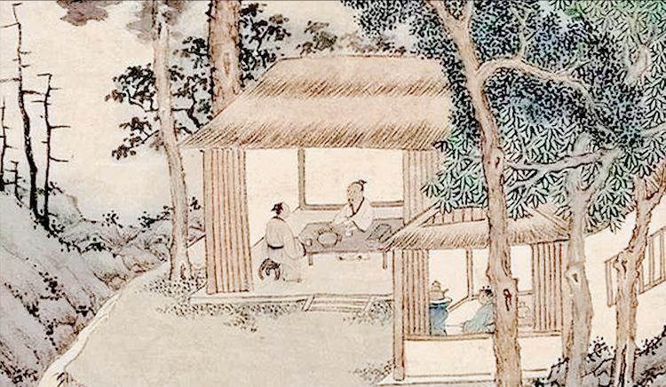 The origin of tea and the history of tea - iNEWS