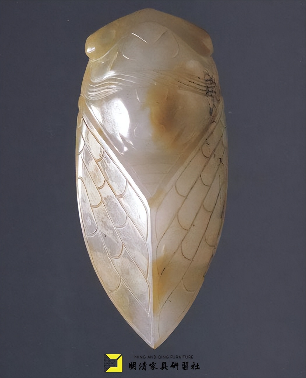 Sparse tree cicada hissing white dew cold - elaborate cicada culture ...