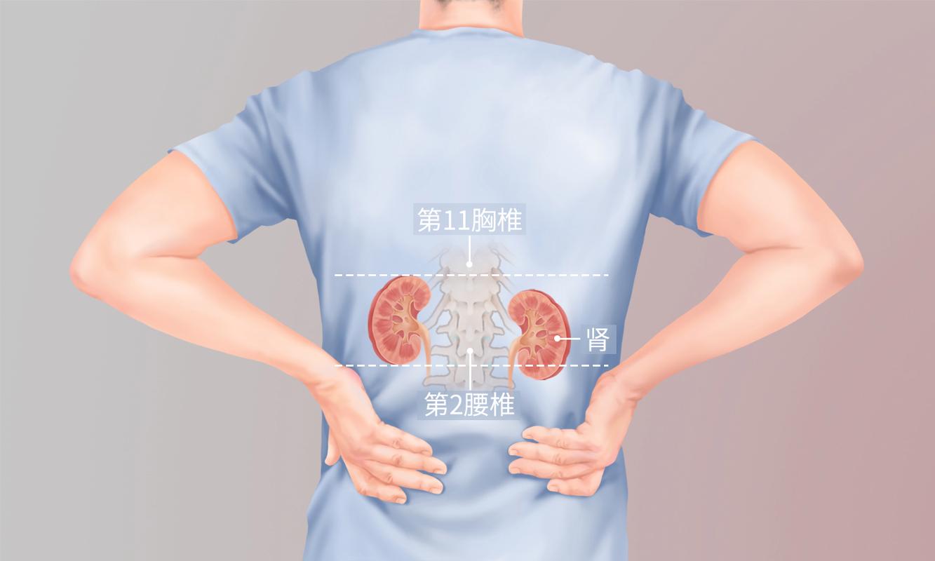 Frequent urination, urgency, leakage of urine after coughing? Teach you ...