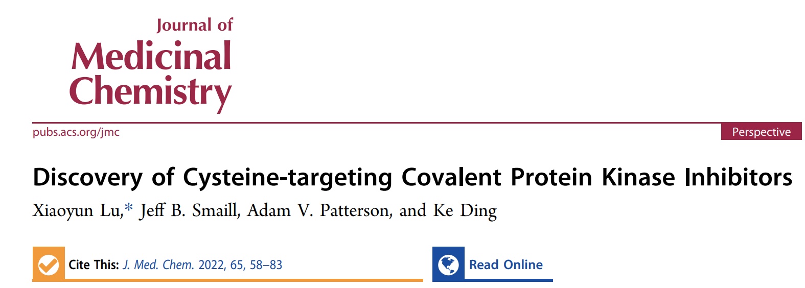 Covalent protein kinase inhibitors targeting cysteine - iNEWS