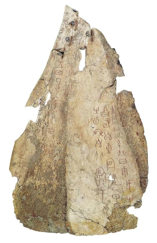 Oracle Bone Inscriptions: Mysterious Relics and Cultural Treasures of ...