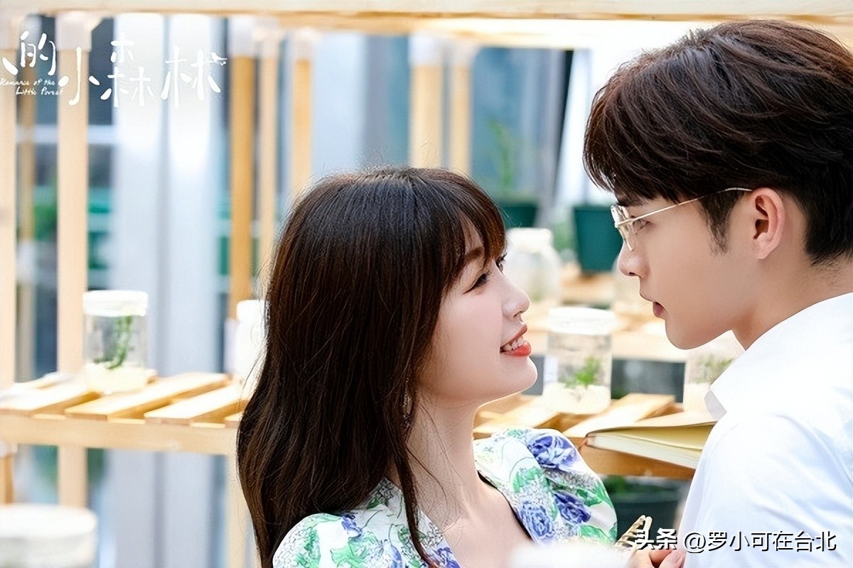 "The Little Forest for Two" has a happy ending?Zhuang Yu proposed to Yu Meiren, and she was the ...