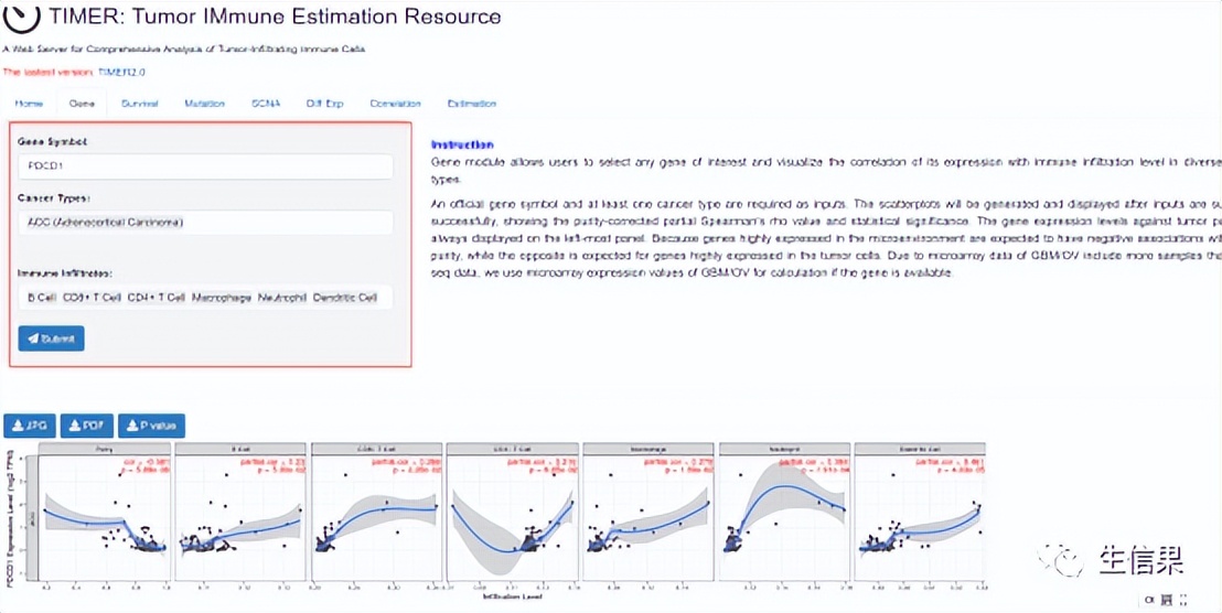 Your tumor decryption expert? TIMER teaches you the analysis of ...