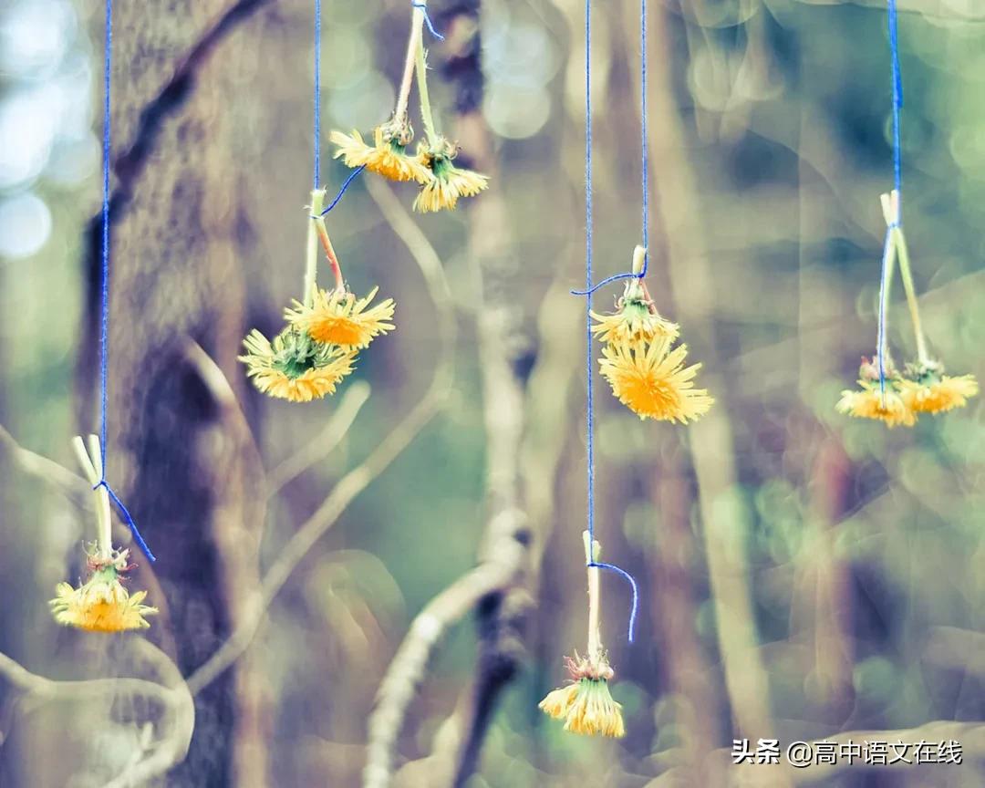 Lonely but not alone in poetry, a person is a world - iNEWS