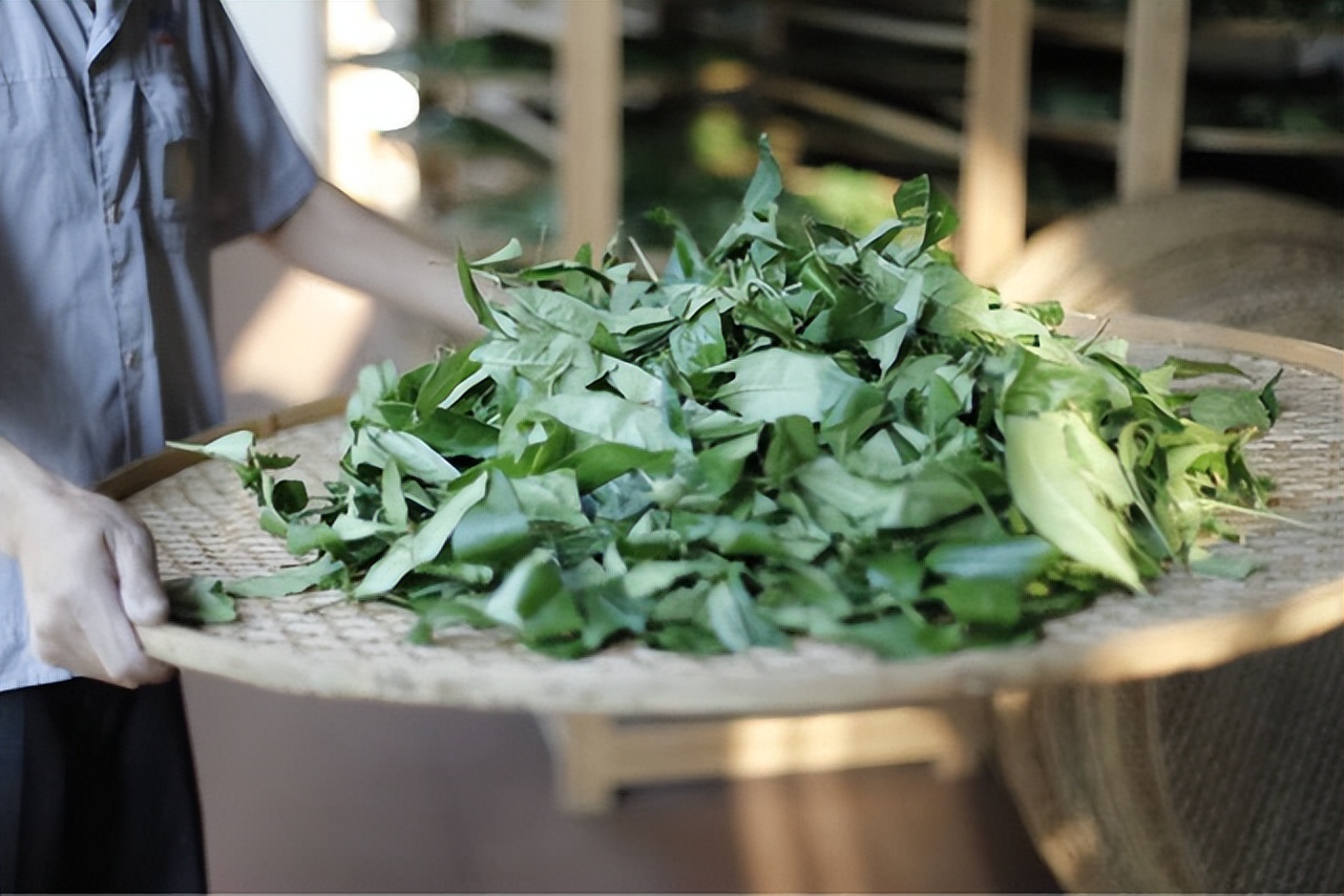What is the magic of the "roasting" of Wuyi rock tea? - iNEWS