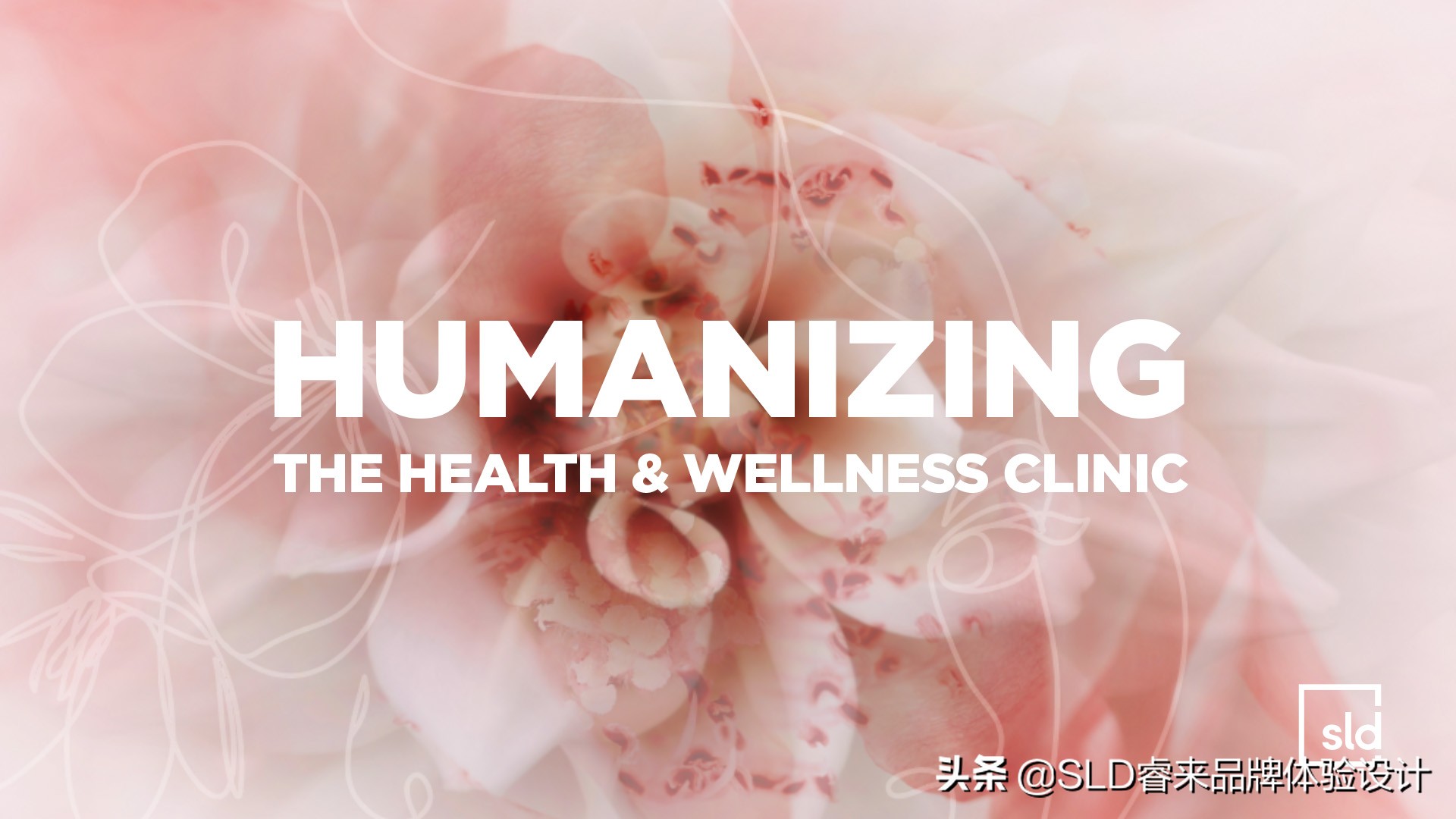 How did the design of the humanized health care center come about? - iNEWS