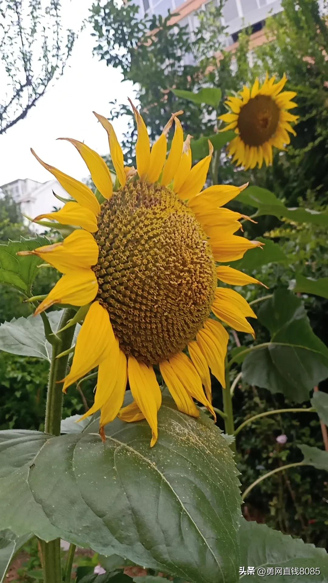 Don't read willfully - iMedia