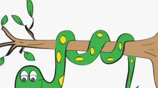 100 million years ago, the ancestors of snakes evolved independently 26 ...