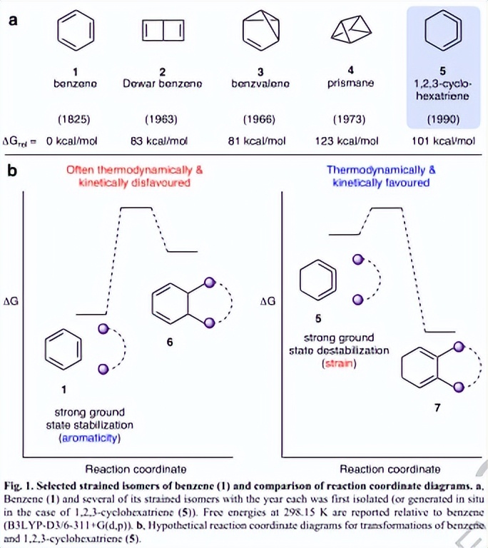 Strain-promoted reactions of 1,2,3-cyclohexatriene and its derivatives - iNEWS