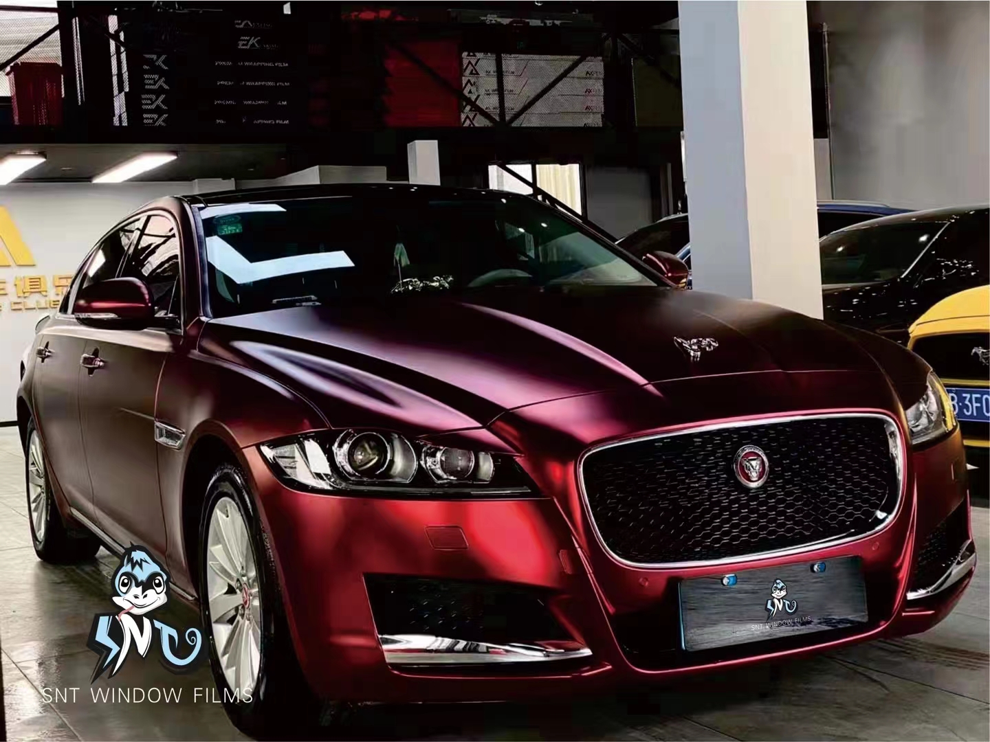 Sunnet Romanee red color-changing film, elegant and noble - iNEWS