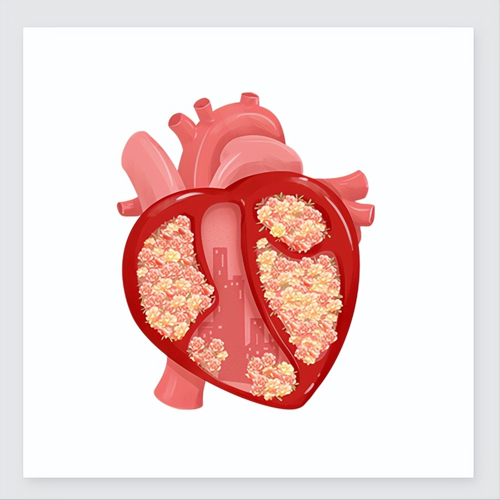 Jianbeida Health Science Popularization: Summer is suitable for ...