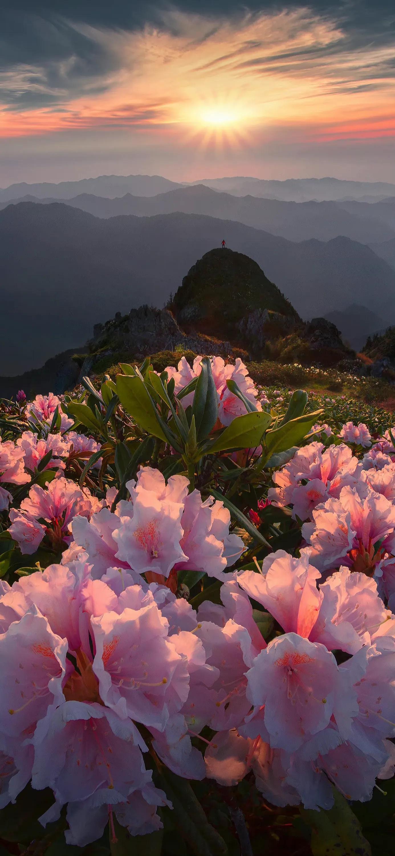 "Beautiful scenery" mobile wallpaper - iMedia