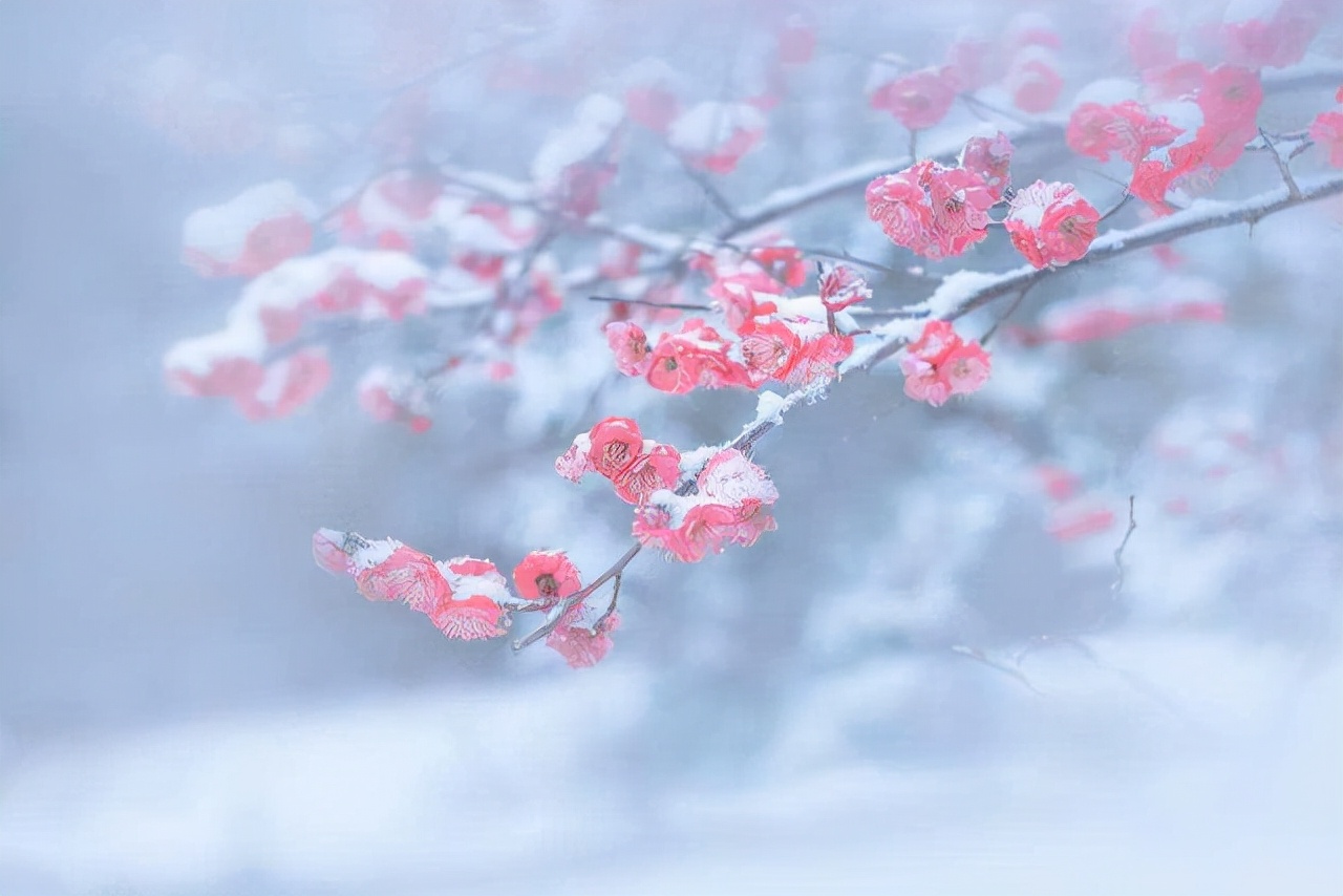 The solar terms in the winter solstice, the yin qi is here to the ...