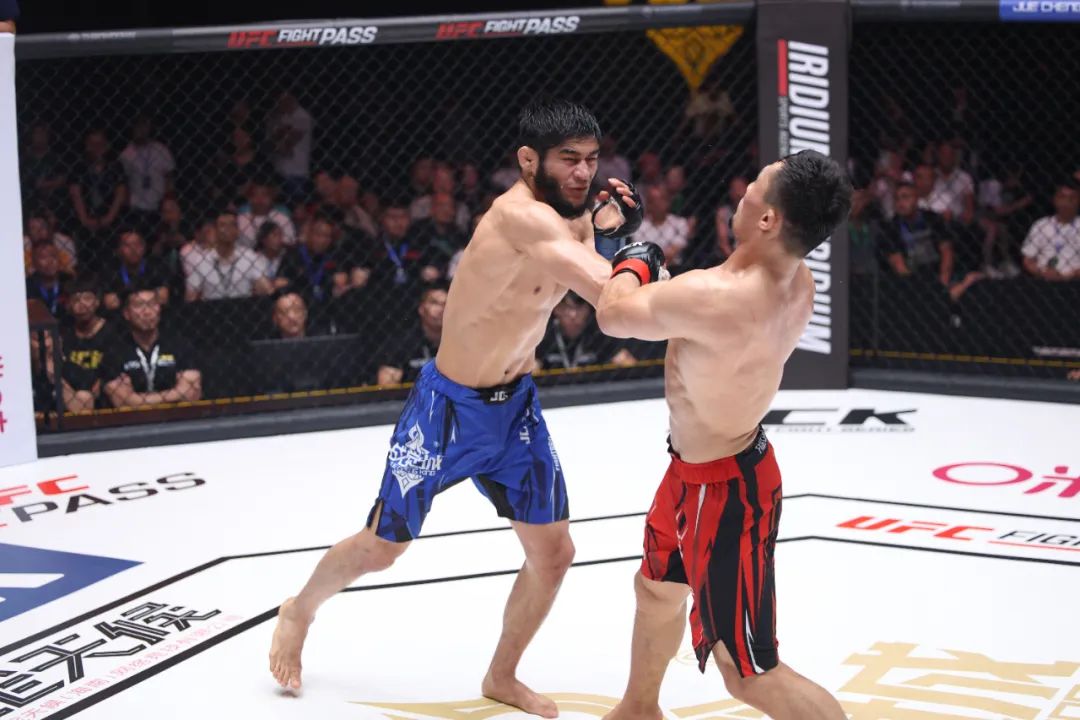 Who will be the new lightweight king? Aggie and Ayjak reunite in final ...