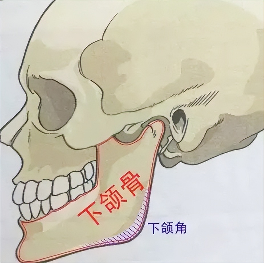 After reading them, I understand: the jaw line, the dividing line ...
