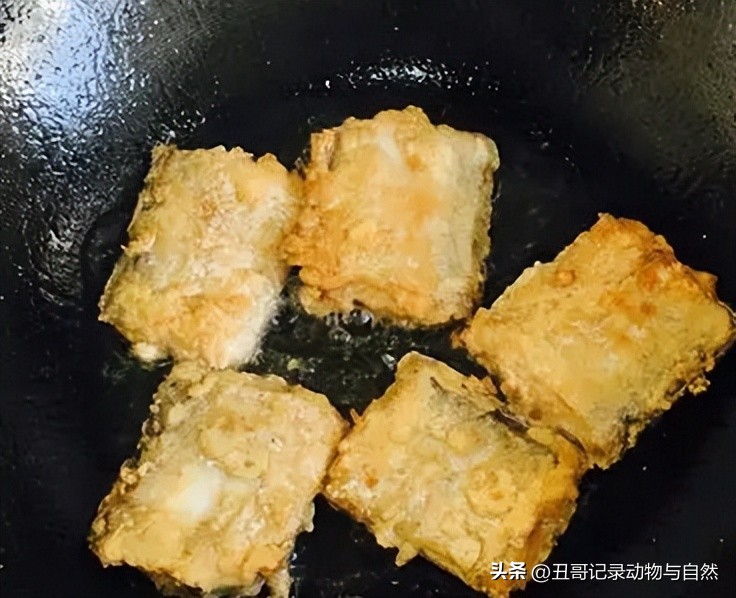 The home-cooked method of braised hairtail fish - iMedia