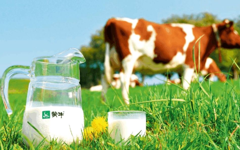 Dairy giants: Yili, Mengniu and Bright's digital breakthrough - iNEWS