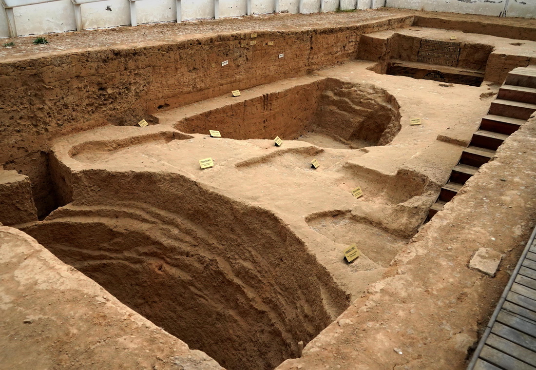 What are the storage quality standards and counting and measurement ...