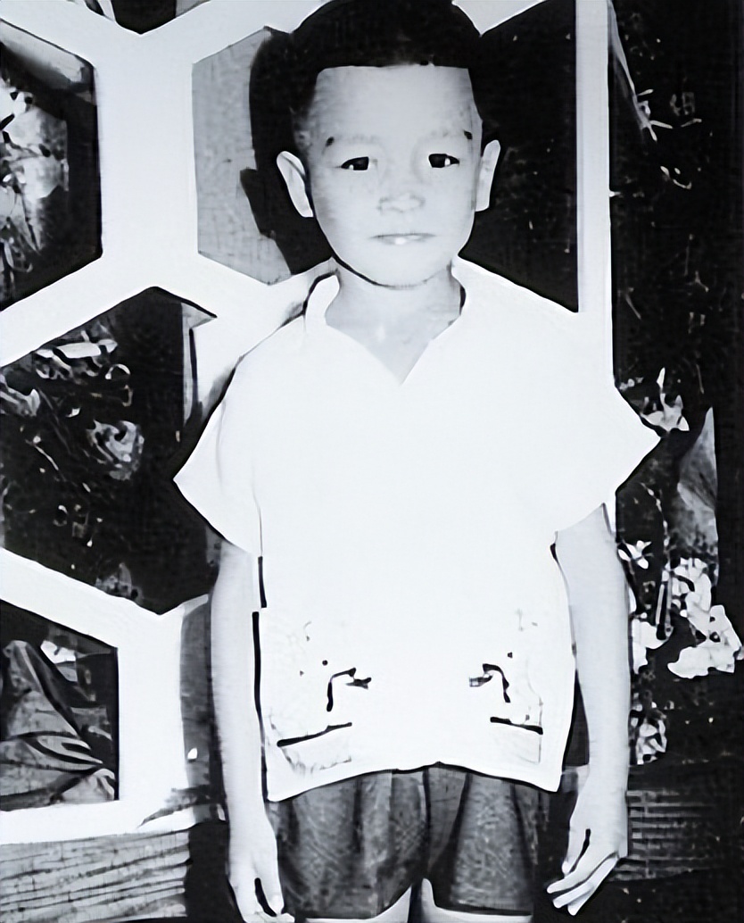Leslie Cheung has everything, why did he have to jump off the building ...