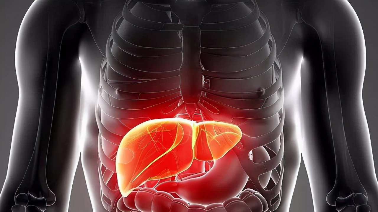 The liver protection "champion" has been found, not the onion?If you ...