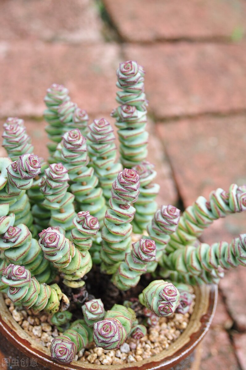 In the summer, the "longer and smaller" money string will be done in ...