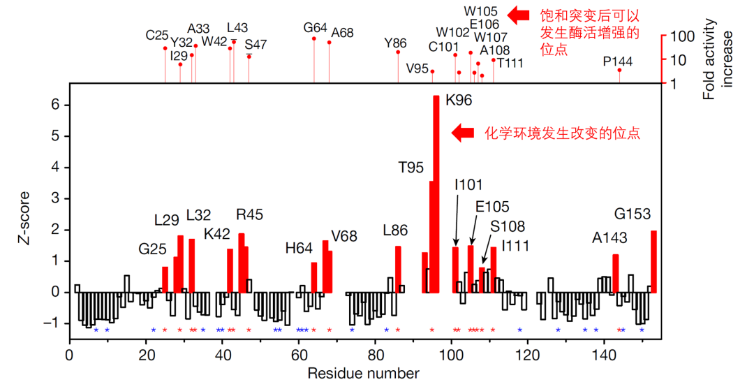 Using NMR to guide protein evolution - iNEWS