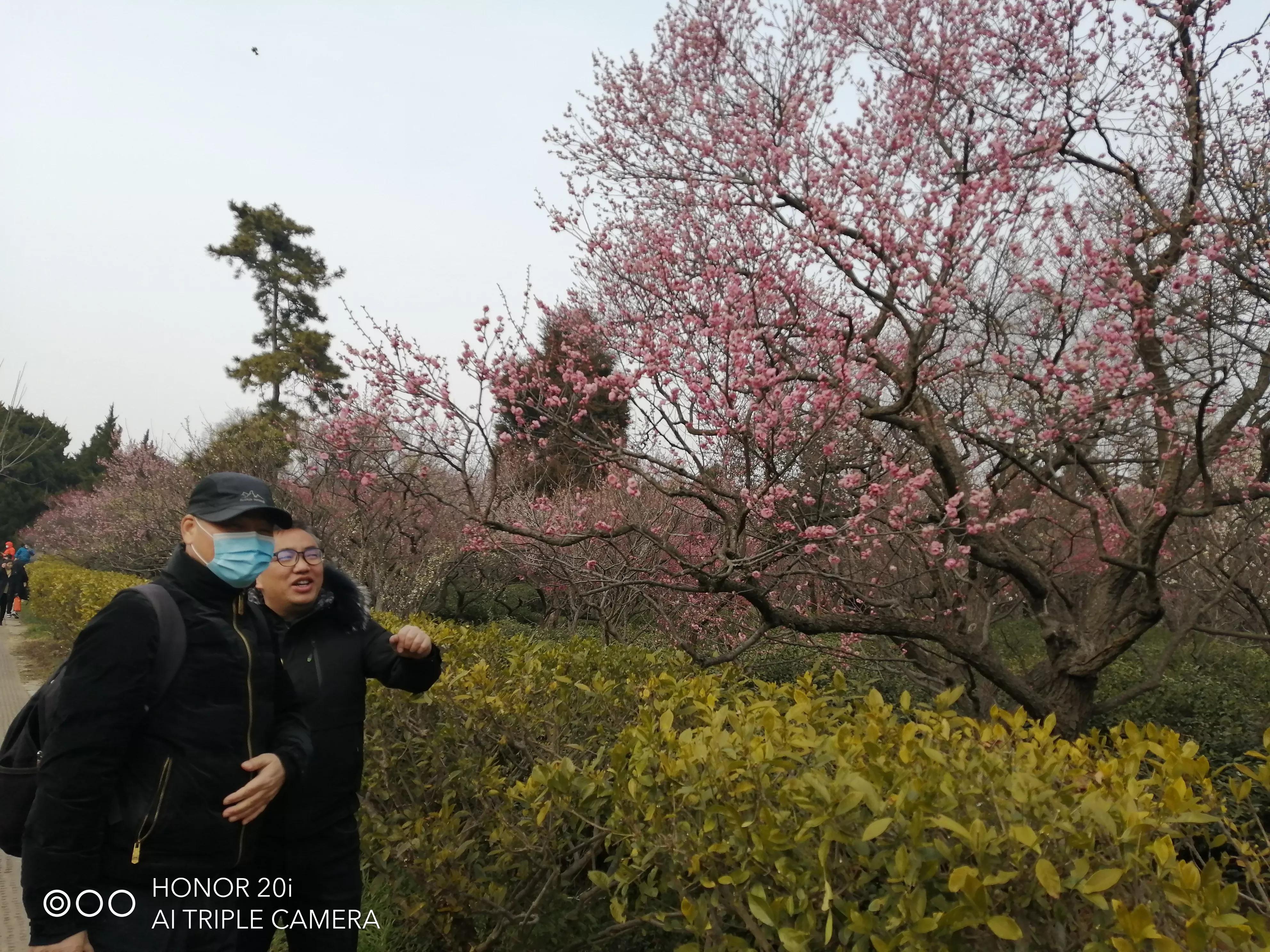 "The No. 1 Meishan Mountain in the World", the best place for spring ...