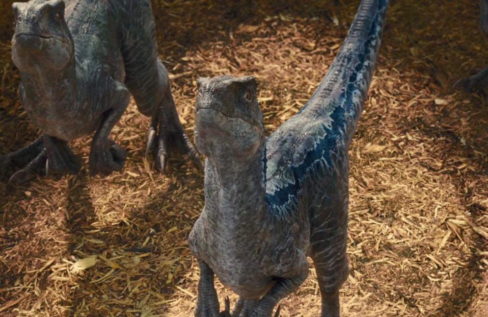 Velociraptor's Mysterious Journey: Unraveling the Mysteries of the ...