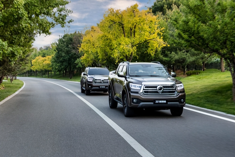 Summer camping must-have 23 models of the Great Wall Passenger Cannon ...