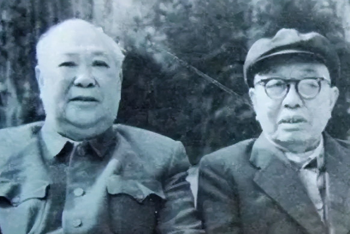 Tan Zhenlin questioned Wang Dongxing: I am over 70 years old, what is ...